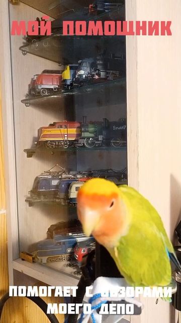 мой помощник.mp4