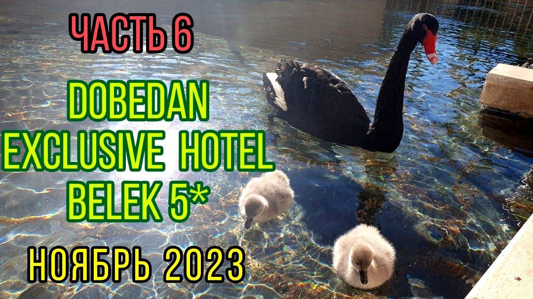 🌞6.   Dobedan Exclusive Hotel 5*. Последствия шторма, пляж. Артем закаляется. Лебедята.. Турция