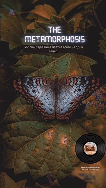 Метаморфоза