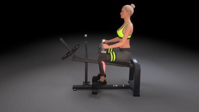 DHZ FItness Plate Loaded EVOST II - A3062 Seated Calf