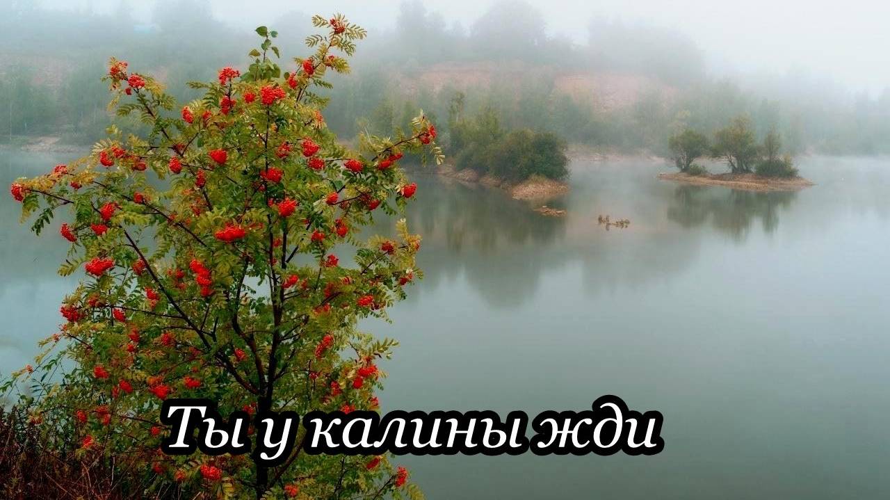 Калина (Ты у калины жди)