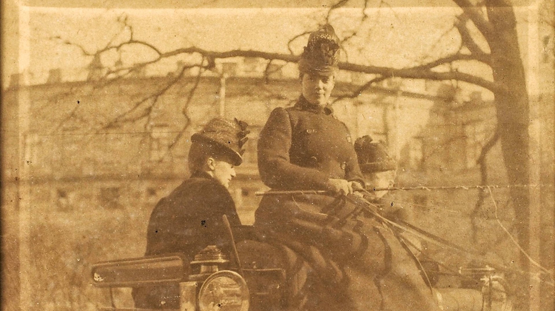 Императрица Мария Федоровна, любительница лошадей в парке гатчинского дворца 👉