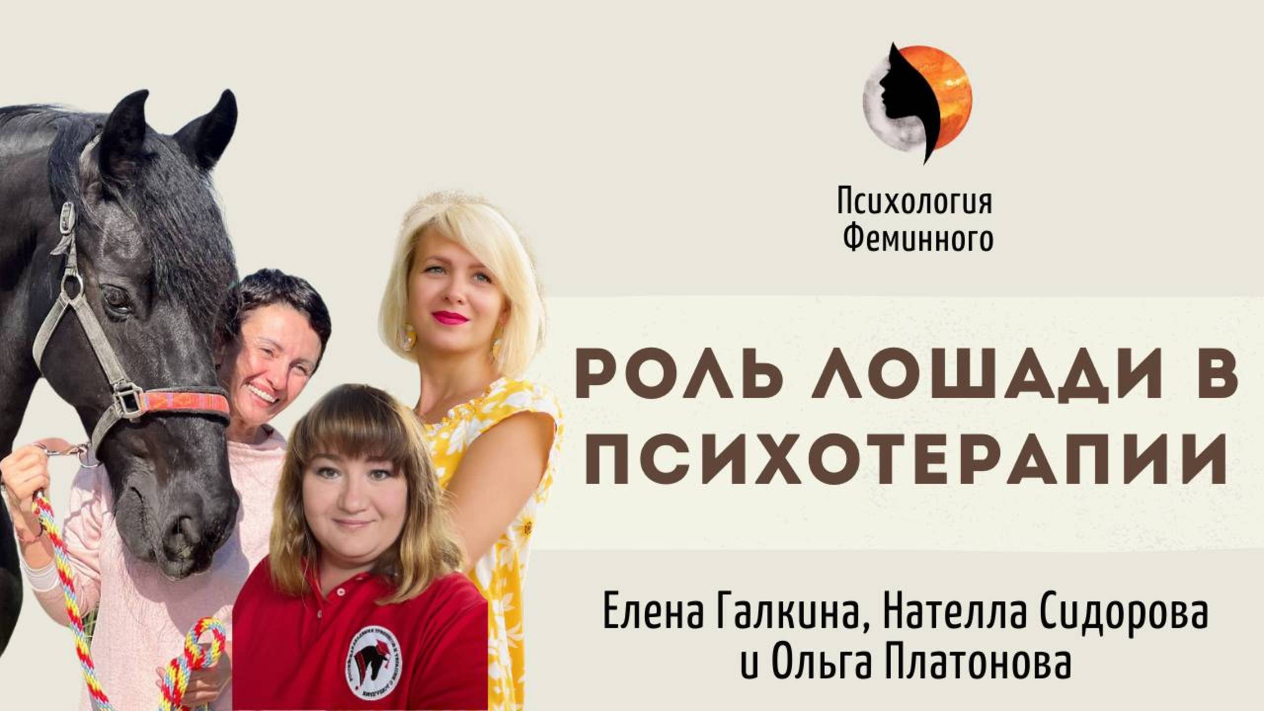 Ипповенция | Что это такое? Кому подходит данный метод? Как проводится сеанс ипповенции?