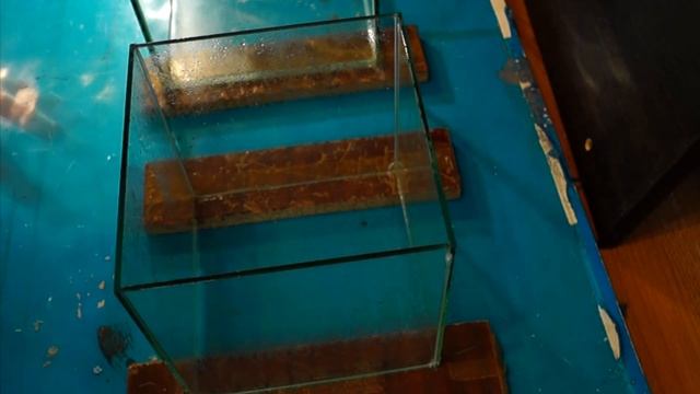 АКВАРИУМ ДЛЯ НАЧИНАЮЩИХ как склеить свой первый аквариум
