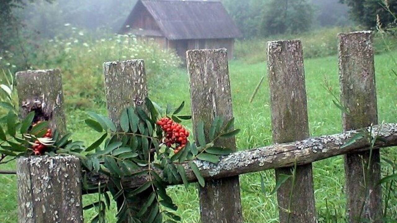 "Калитка"  Юрий Старцев