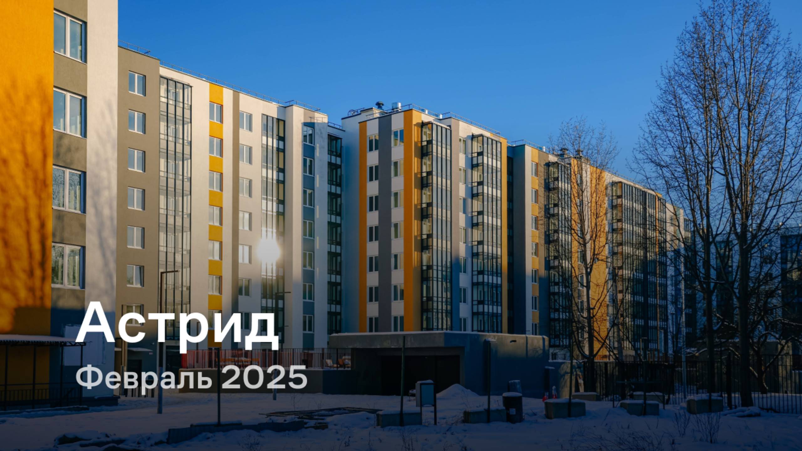 «Астрид» / Февраль 2025