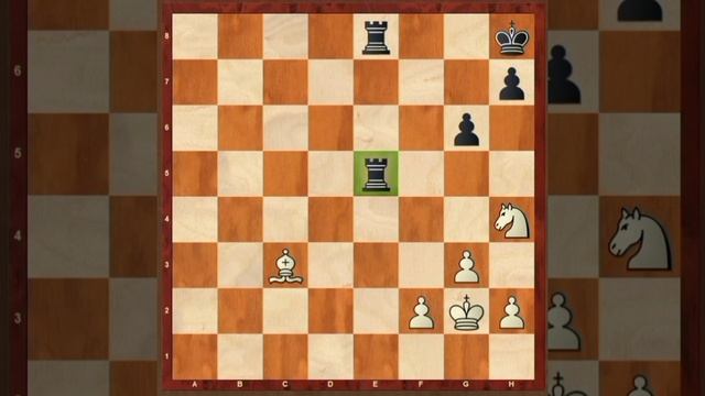 Связка в шахматах