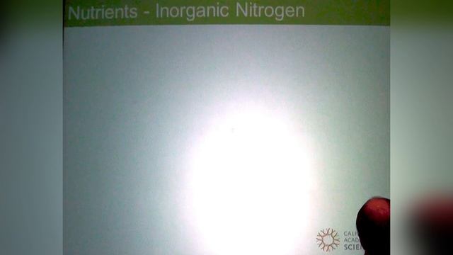 Требования к параметрам воды у живых кораллов