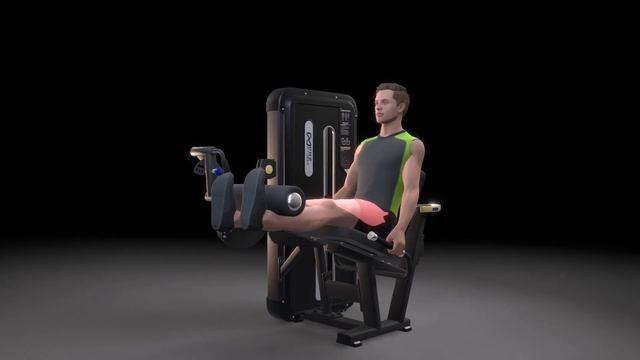DHZ Fitness EVOST II - A3002 Leg Extension