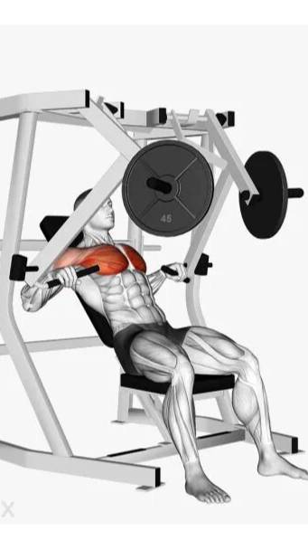 Жим в тренажере на грудь
