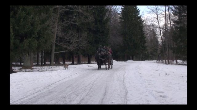 Лучше зайцем,чем пешком!