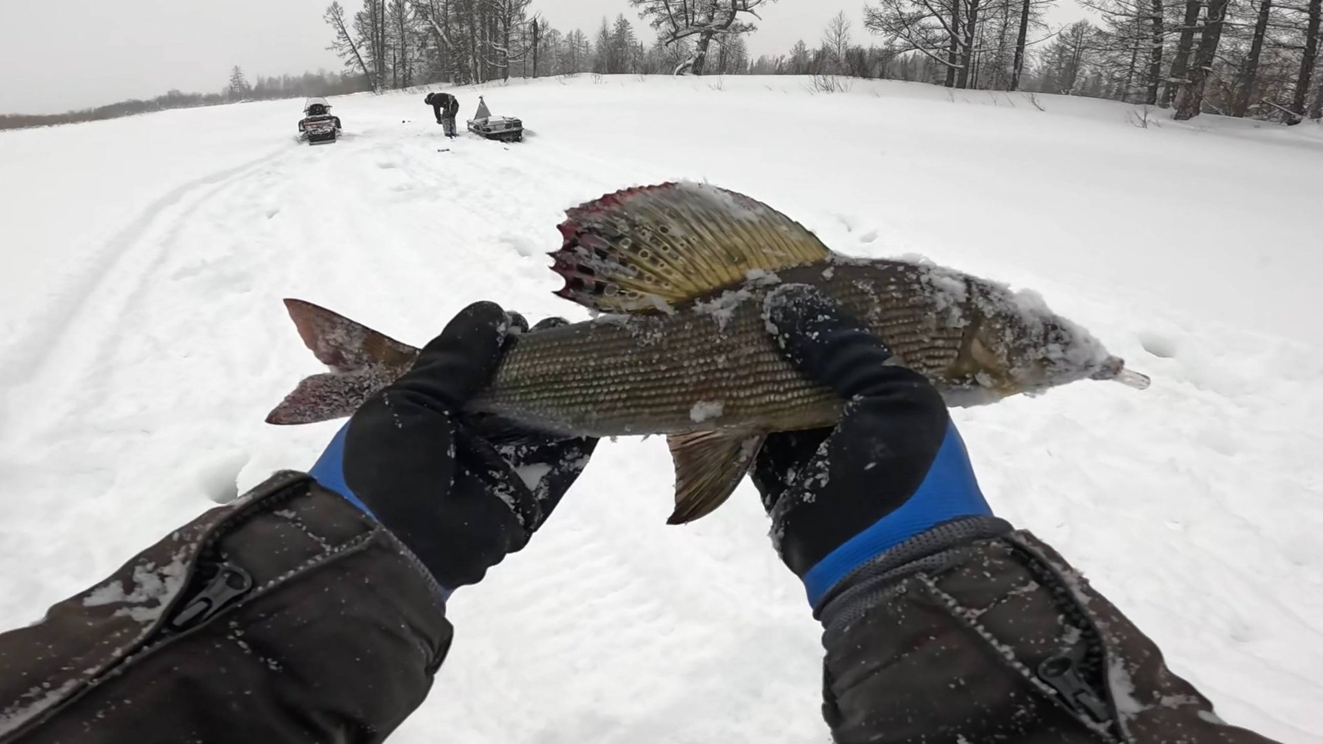 ПЕРВЫЙ ВЫЕЗД В ГОРЫ ЭВЕНКИИ | 2025 | ЗА ТРОФЕЙНЫМ ХАРИУСОМ