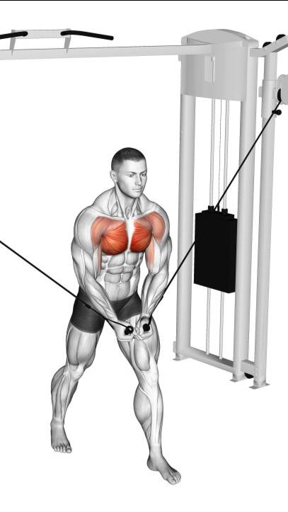 Сведение верхних блоков кроссовера перед собой