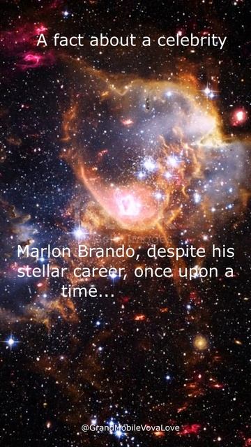 A fact about a celebrity