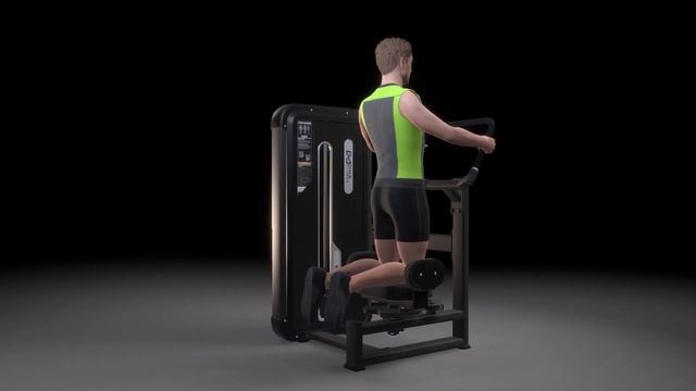 DHZ Fitness Evost II - A3018 Rotary Torso