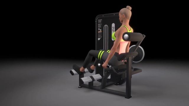 DHZ Fitness Evost II - A3031 Back Extension