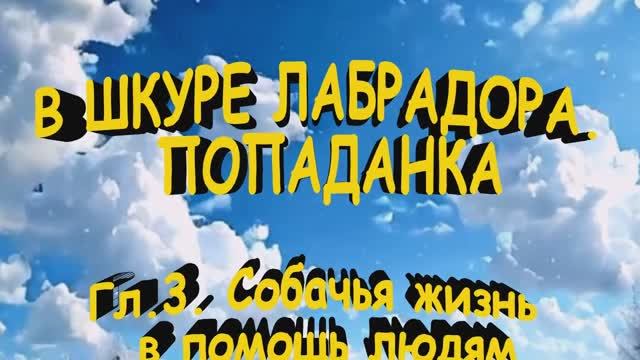 В ШКУРЕ ЛАБРАДОРА. ПОПАДАНКА. Глава 3. Собачья жизнь в помощь людям