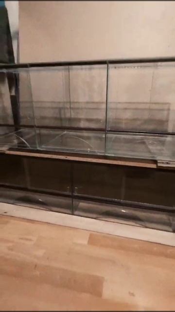 Двойной Террариум с перегородкой и вентиляцией