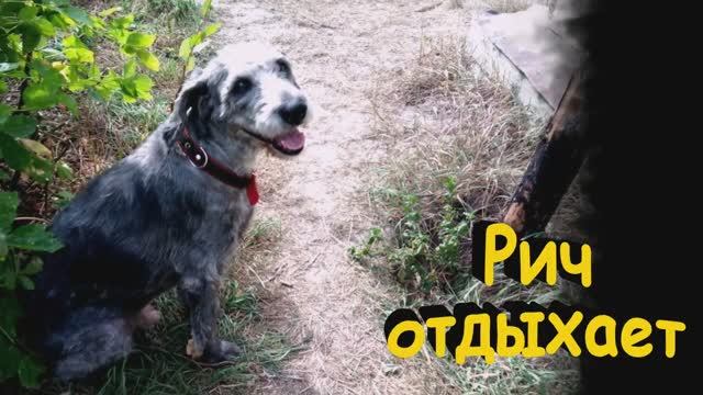 РИЧ  ОТДЫХАЕТ. Передержка