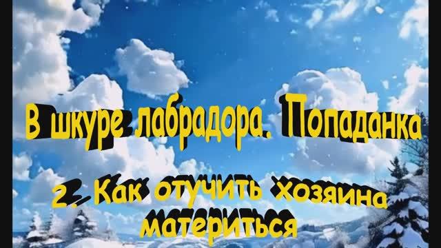 В ШКУРЕ ЛАБРАДОРА. ПОПАДАНКА. Глава 2. Как отучить хозяина материться
