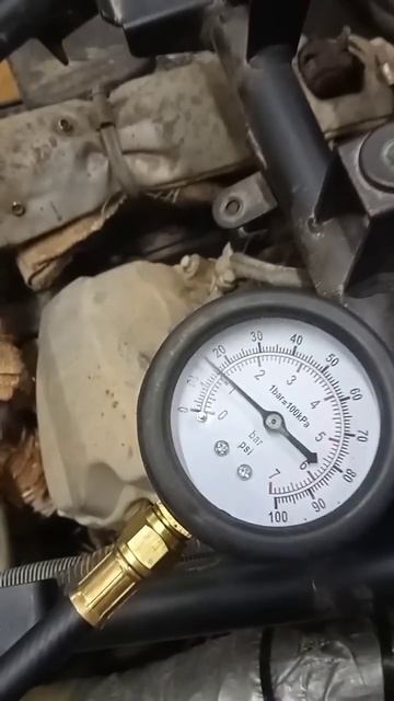 Снегоболотоход РМ800