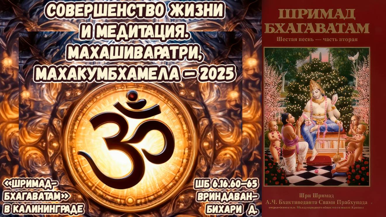 Совершенство жизни и медитация. Махашиваратри, Махакумбхамела 2025. Вриндаван-бихари. ШБ 6.16.60–6