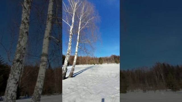 Прогулка по весеннему парку Парк Степанова Март