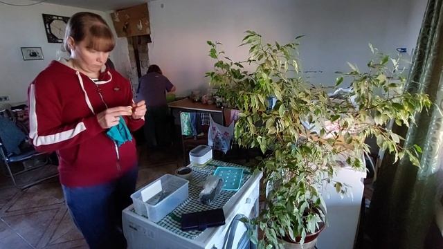 ЗАПУСКАЕМ ХОЛОДИЛЬНИКИ / ВЫКАЧИВАЕМ ВОДУ после потопа / КАКОЙ НАСОС У НАС / У ВСЕХ СВОИ ДЕЛА/5.05.24