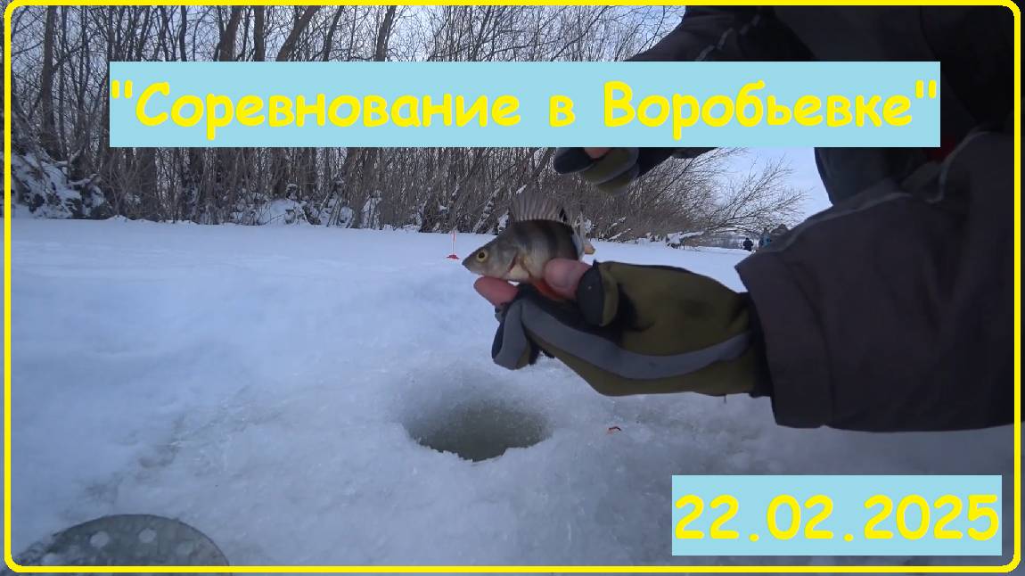 "Соревнование в Воробьевке" 22.02.2025.