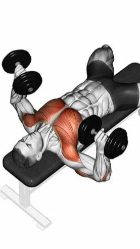 Жим гантелей лежа