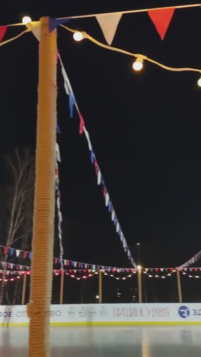 Каток Пущино 2025