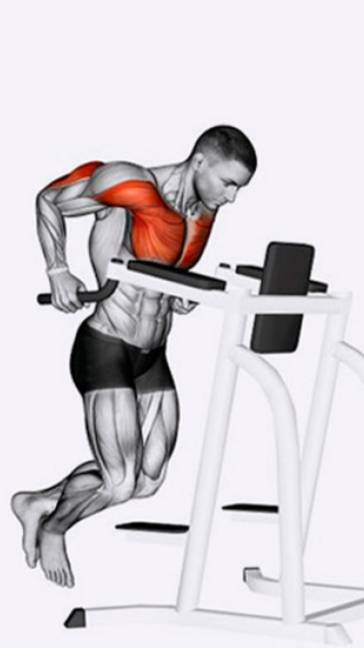 Отжимания на брусьях (грудь)