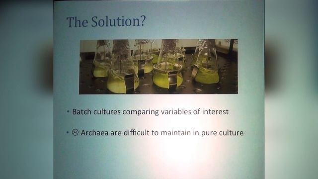 Роль аквариумного микробиома - взаимосвязь искусственной окружающей среды и здоровья животных