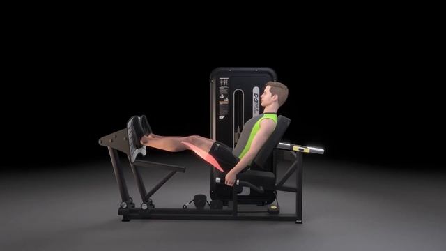 DHZ Fitness EVOST II - A3003 Leg Press