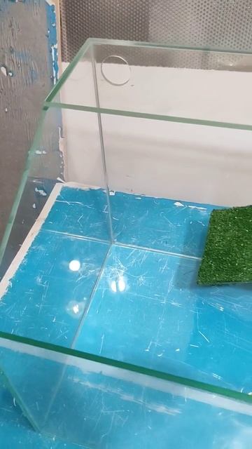 Террариум для черепах