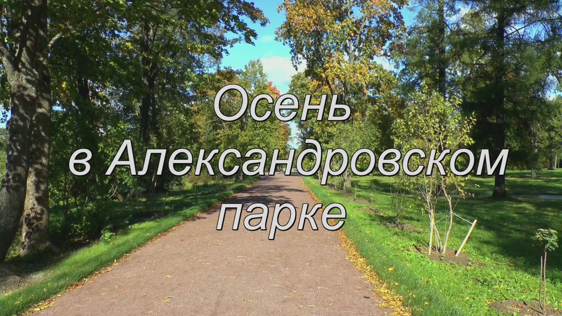 Осень в Александровском парке Пушкина
