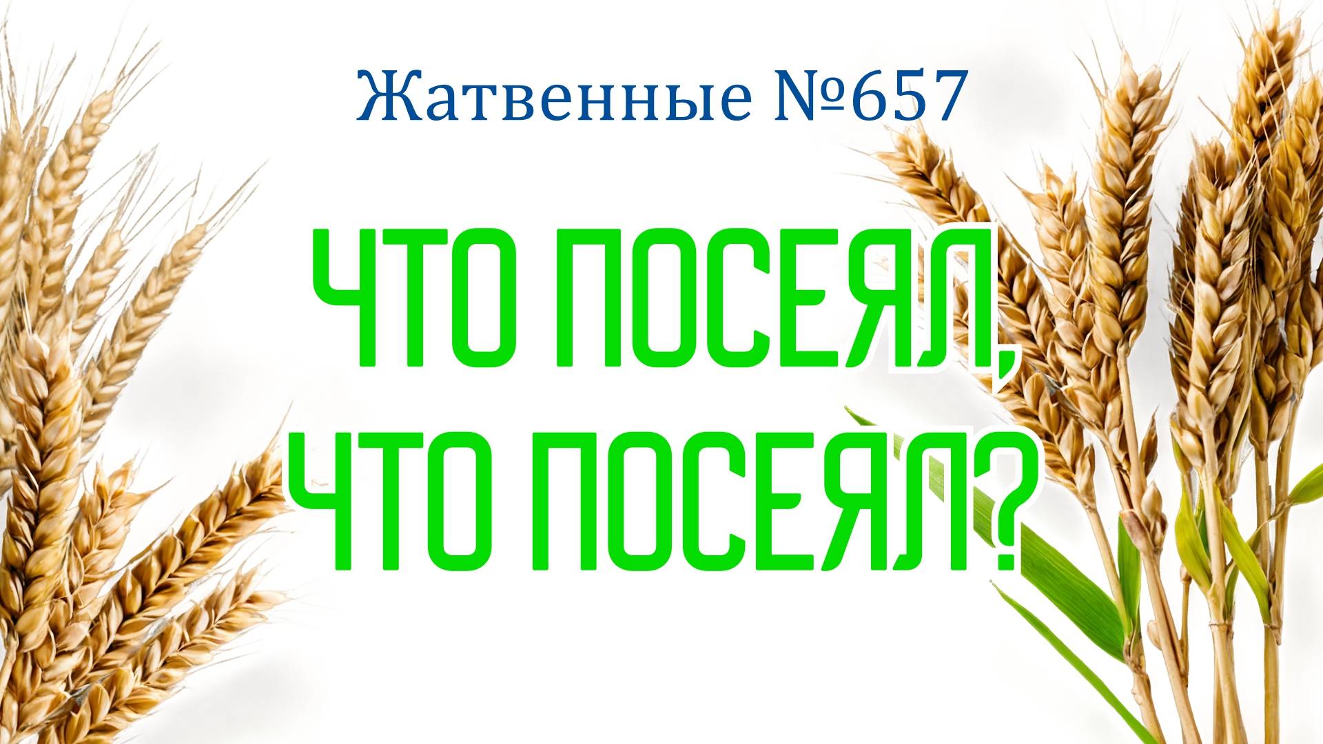 ПВ_4k №657 Что посеял, что посеял