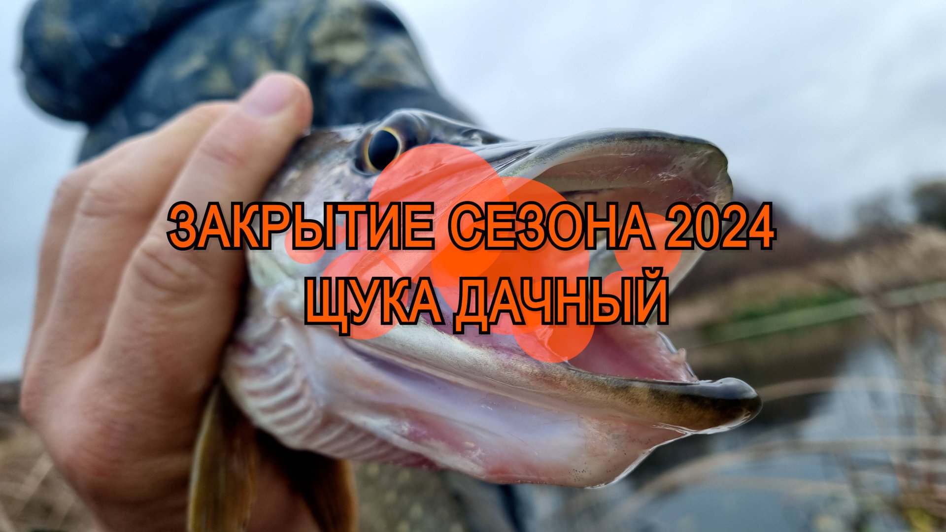 Закрытие сезона 2024 жор щуки рыбалка на спиннинг