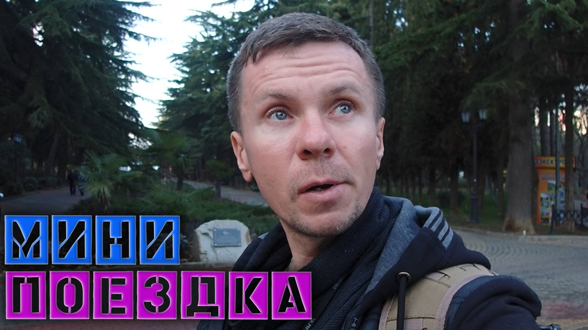 Еду из Симеиза в Изобильное собрать хурму / Алушта / Пасмурный Симеиз #игнатсолошенко 394