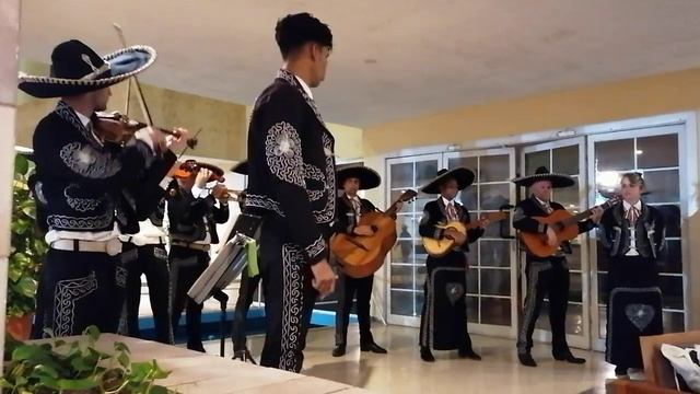 Куба. Анимация в отеле Occidental Arenas Blancas 4. Варадеро. #куба #варадеро #анимациявотеле