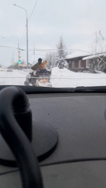 Собака на буране #Ямал регион #пассажир