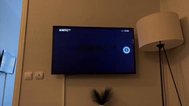 Телевизор гостиная