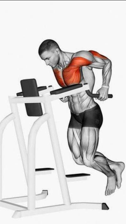 Отжимания на брусьях трицепс