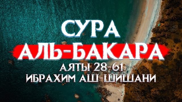 Красивое чтение Корана Сура Аль-Бакара Аяты 28-51! Ибрахим Аш-Шишани