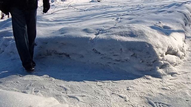 парк Динозавров, г. Котельнич