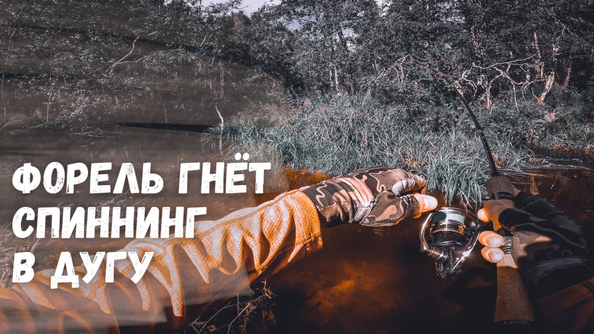 Форелевая рыбалка в Карелии. Нашли форелевое эльдорадо. Трофейная форель гнет спиннинг в дугу!