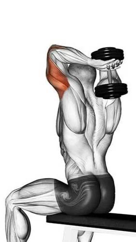 Разгибания гантели из-за головы