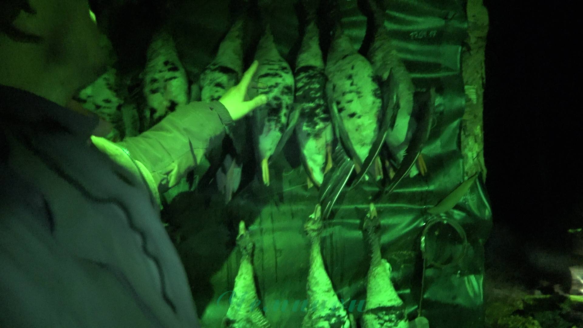 Охота на гуся в болотах #28.1 \ Шикарные налёты в глубоких сумерках