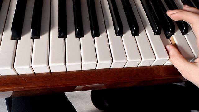 как сыграть на пианино песню сидим с бобром за столом