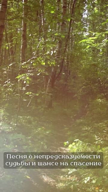 Ты летала выше остальных#shorts